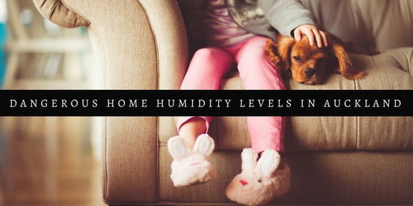 Dangerous Home Humidity Levels in Auckland - Barometers&Clocks